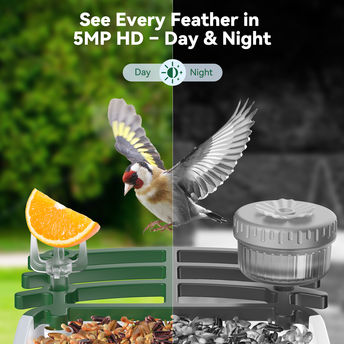 Conico Smart Bird Feeder with Camera, 5MP HD Wide Angle, AI Bird Recog